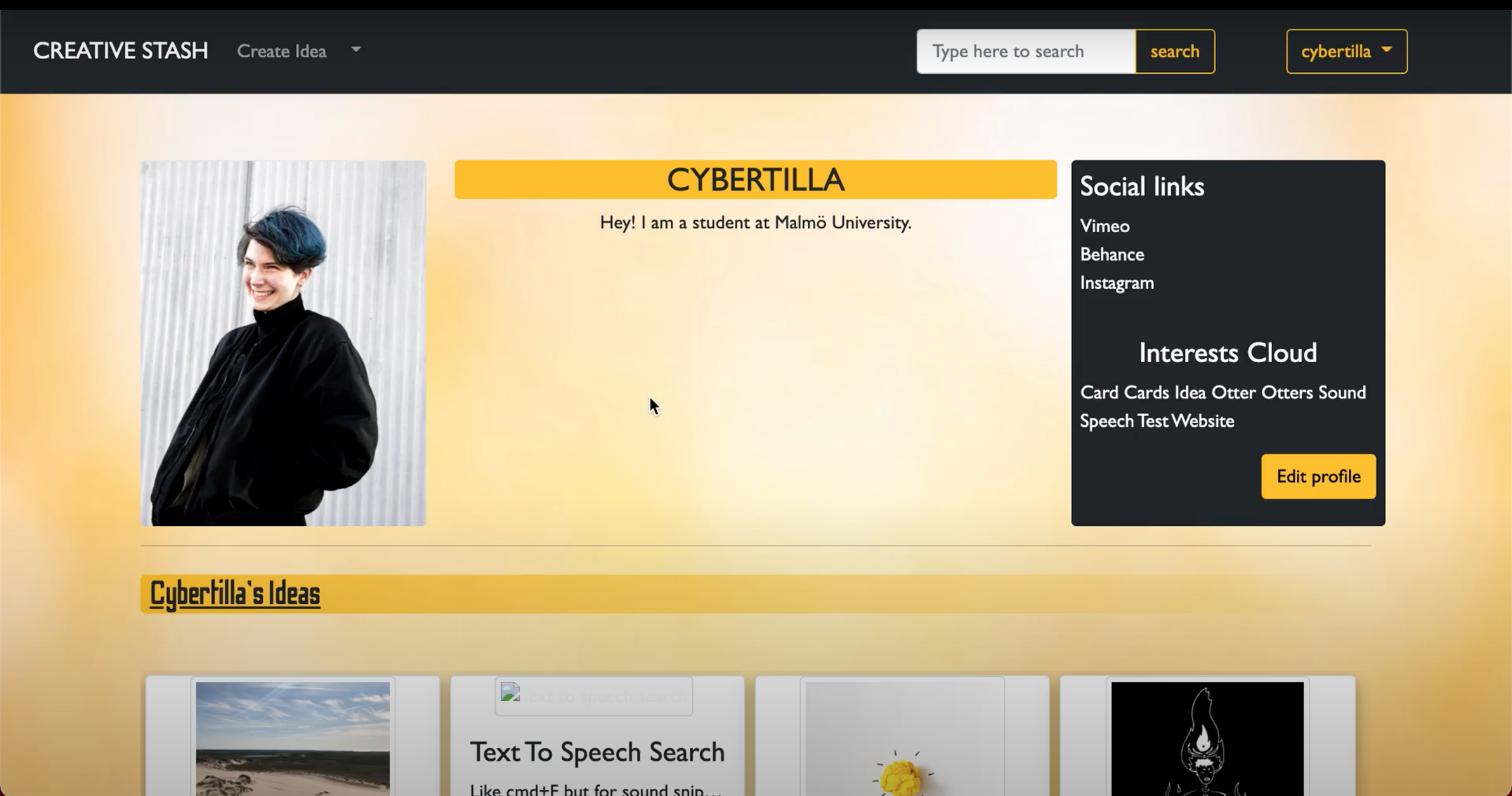 Portfolio Kin Lok Lee